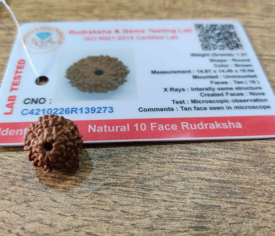 Shop Rudraksha at Kalyanastrogems | Kalyanastrogems
